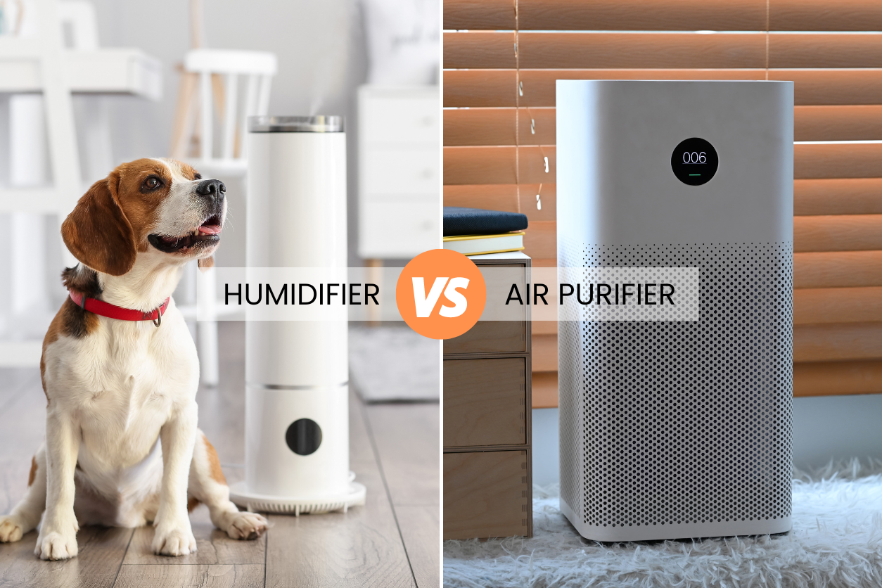 Humidifier vs. Air Purifier: Which One Should Pet Owners Get? | Rising Tech